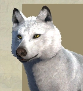 Amazon | Sapphirejas's WolfQuest Legacy Wiki | Fandom