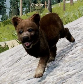 Cinder | Sapphirejas's WolfQuest Legacy Wiki | Fandom