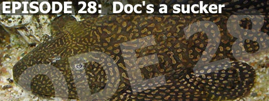 Episode 028 Docs a sucker | Sarcastic Gamer Wiki | Fandom