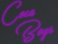 Coca Boys | San Andreas Roleplay Wiki | Fandom