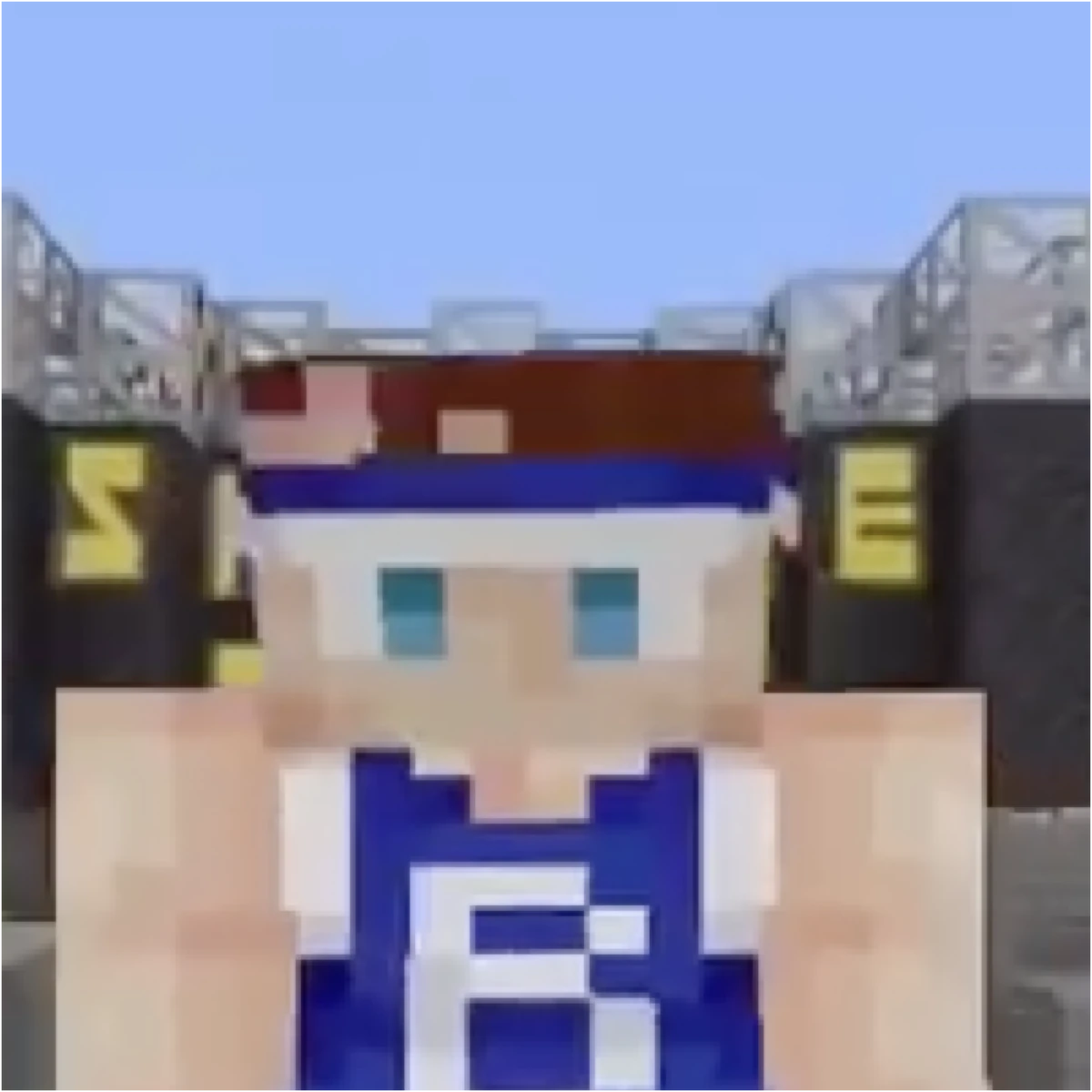DreamStansSuck | SASUKE Craft Wiki | Fandom