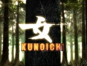 KUNOICHI | Sasukepedia Wiki | Fandom