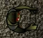 Zombies | SAS Zombie Assault Wiki | Fandom