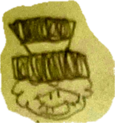 Alex | Snow and the Clash of Kings Wiki | Fandom