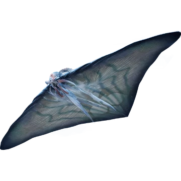 how to draw a bat ray