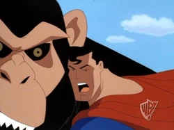 March 21, 1998 | Saturday Morning Broadcast Archives Wiki | Fandom