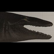 Mosasaurus | Saurian Wikia | Fandom