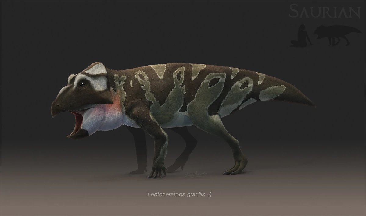 Leptoceratops | Saurian Wikia | Fandom