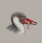 Brodavis | Saurian Wikia | Fandom