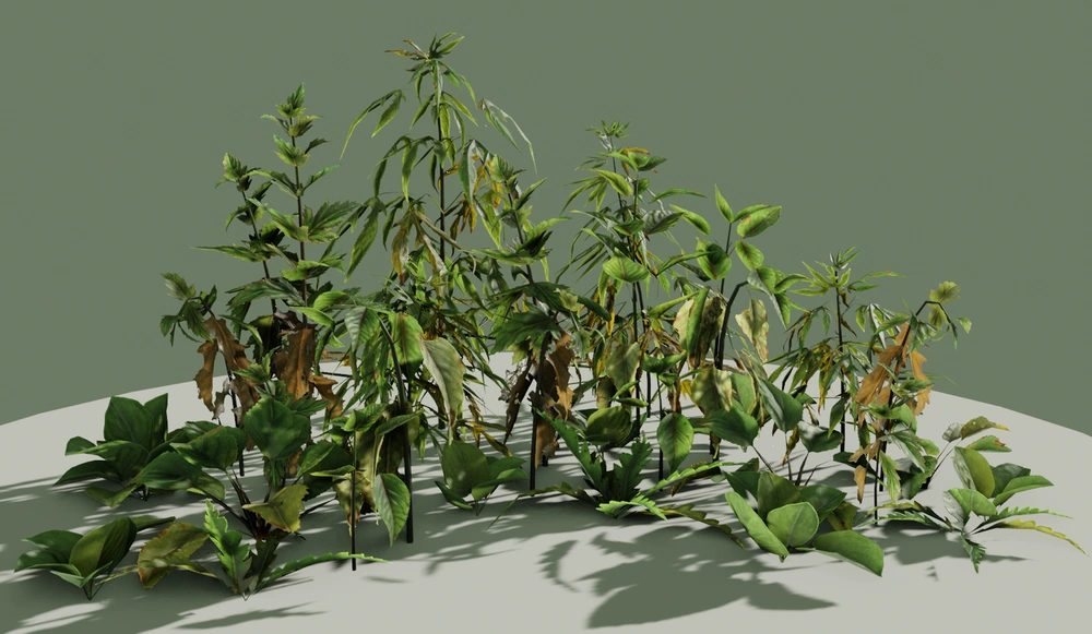 Unnamed herbaceous plants | Saurian Wikia | Fandom