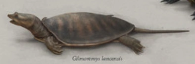 Gilmoremys | Saurian Wikia | Fandom