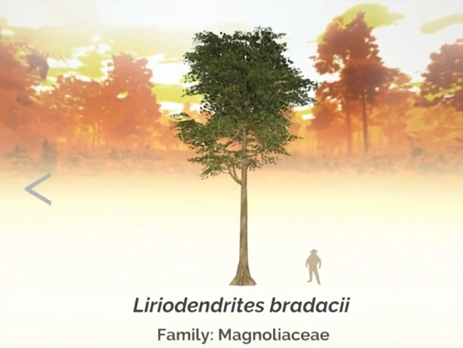 Liriodendrites bradacii | Saurian Wikia | Fandom