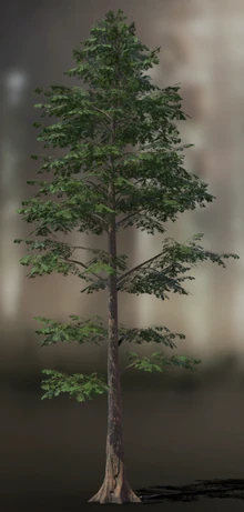 Metasequoia occidentalis | Saurian Wikia | Fandom
