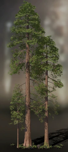 Sequoia dakotensis | Saurian Wikia | Fandom