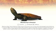 Basilemys | Saurian Wikia | Fandom