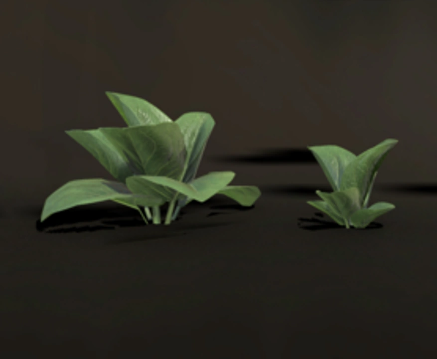 Category:Aroids | Saurian Wikia | Fandom