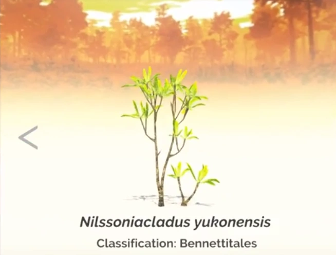 Nilssoniacladus yukonensis | Saurian Wikia | Fandom