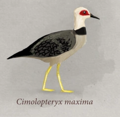 Cimolopteryx | Saurian Wikia | Fandom