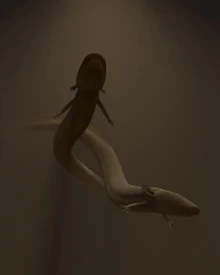 Habrosaurus | Saurian Wikia | Fandom