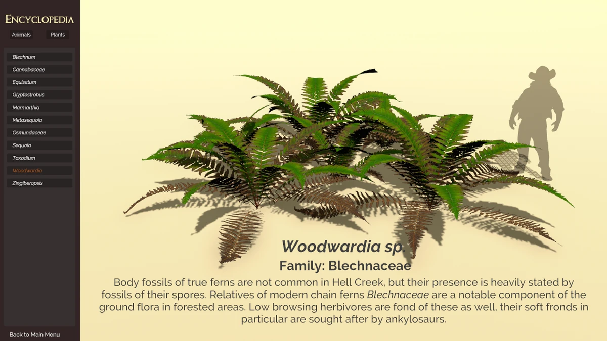 Woodwardia sp. | Saurian Wikia | Fandom