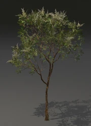 "Dryophyllum" subfalcatum | Saurian Wikia | Fandom