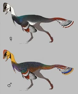 Anzu | Saurian Wikia | Fandom