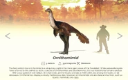 Ornithomimid | Saurian Wikia | Fandom