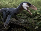 Category:Non-playable Animals | Saurian Wikia | Fandom