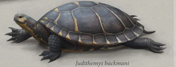 Judithemys | Saurian Wikia | Fandom