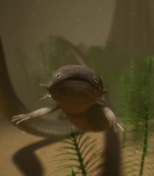 Habrosaurus | Saurian Wikia | Fandom