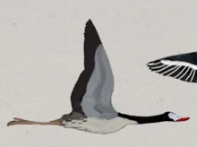 "Styginetta lofgreni" | Saurian Wikia | Fandom