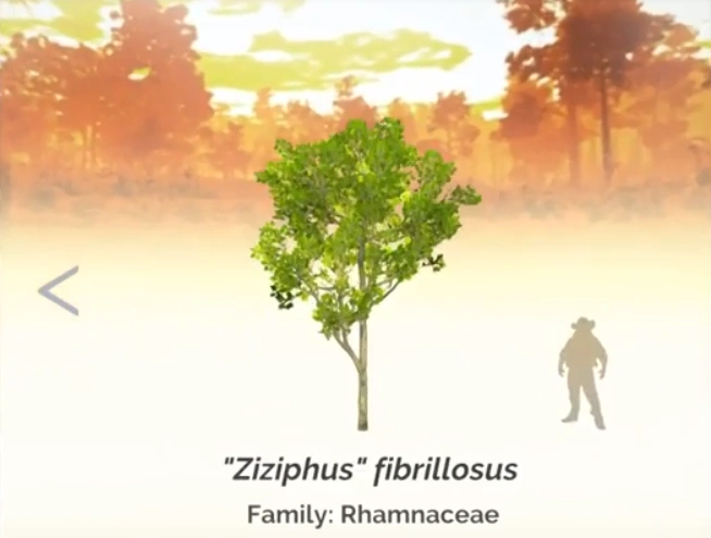 "Ziziphus" fibrillosus | Saurian Wikia | Fandom