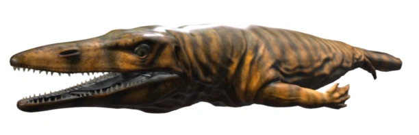 Dallasaurus | Sauropedia Wiki | Fandom