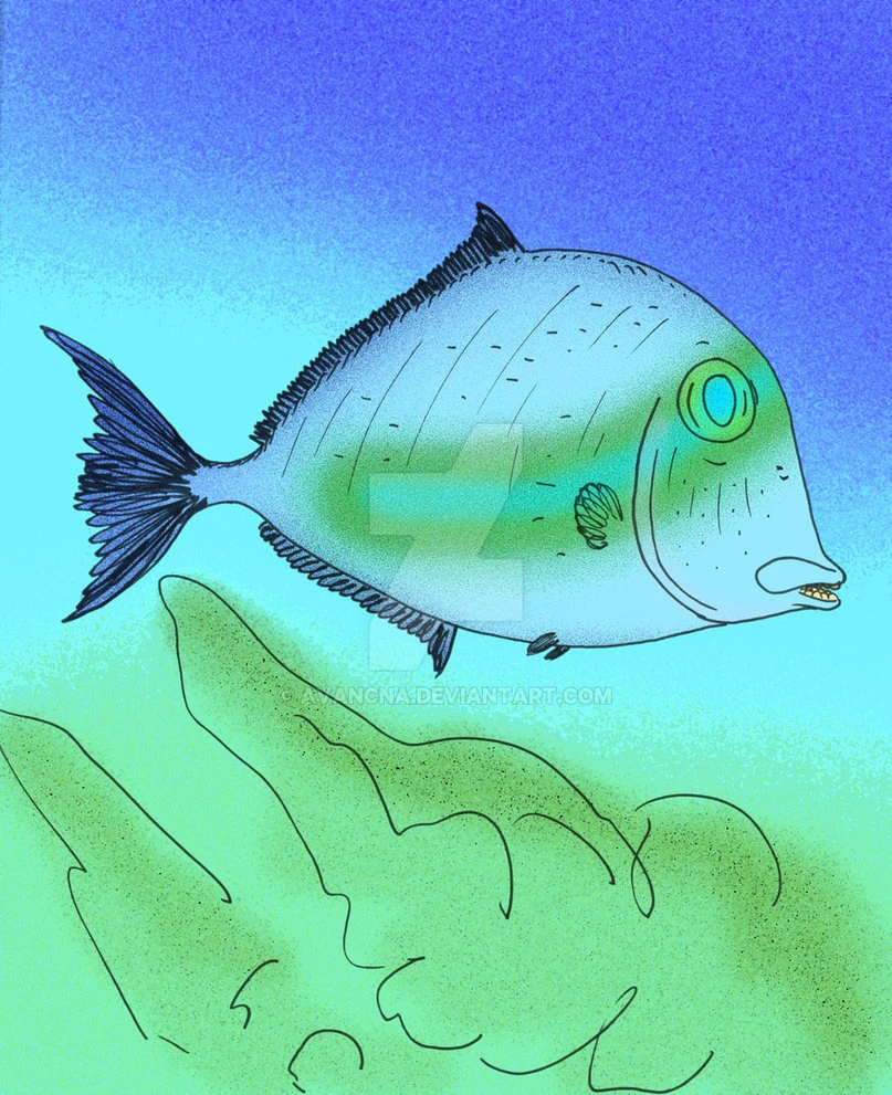 Pycnodus | Sauropedia Wiki | Fandom