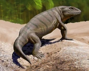 Seymouria | Sauropedia Wiki | Fandom