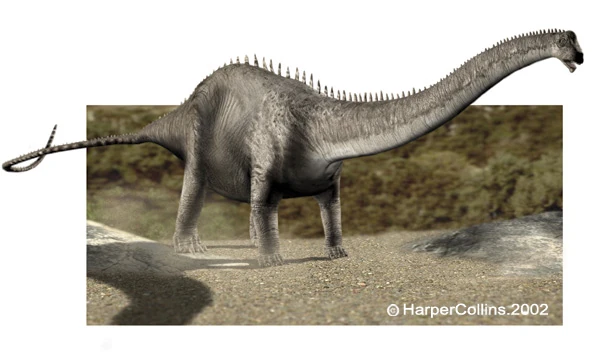 Diplodocus | Sauropedia Wiki | Fandom