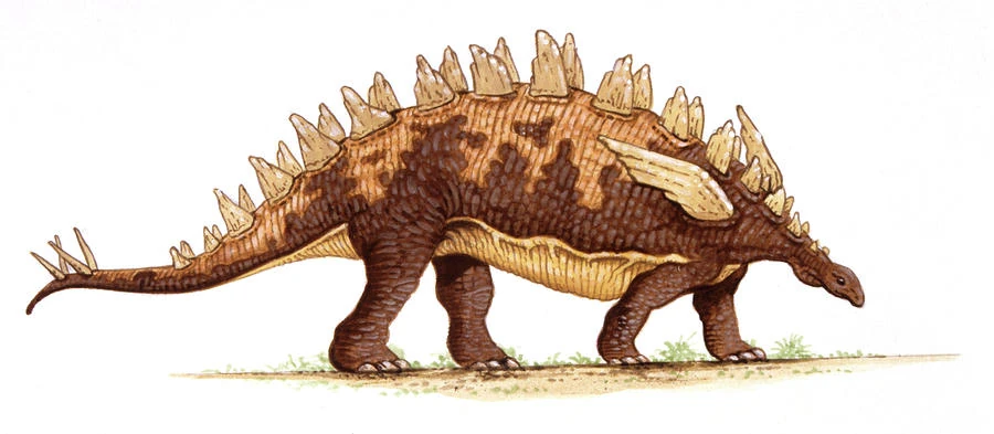 Yingshanosaurus | Sauropedia Wiki | Fandom