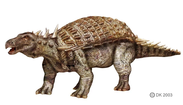 Acanthopholis | Sauropedia Wiki | Fandom