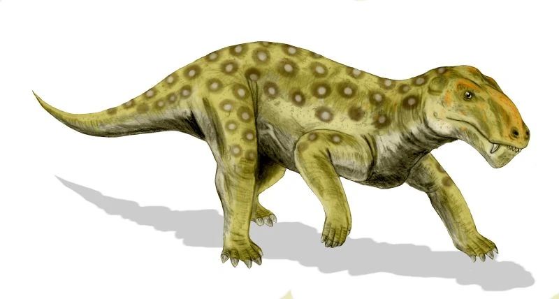 Lycaenops | Sauropedia Wiki | Fandom