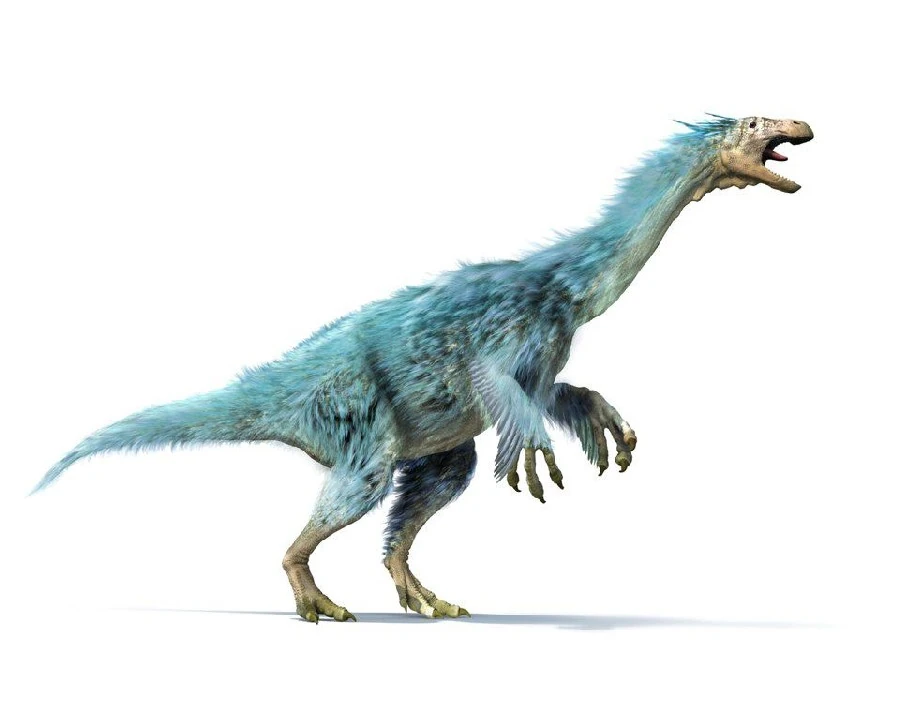 Alxasaurus | Sauropedia Wiki | Fandom