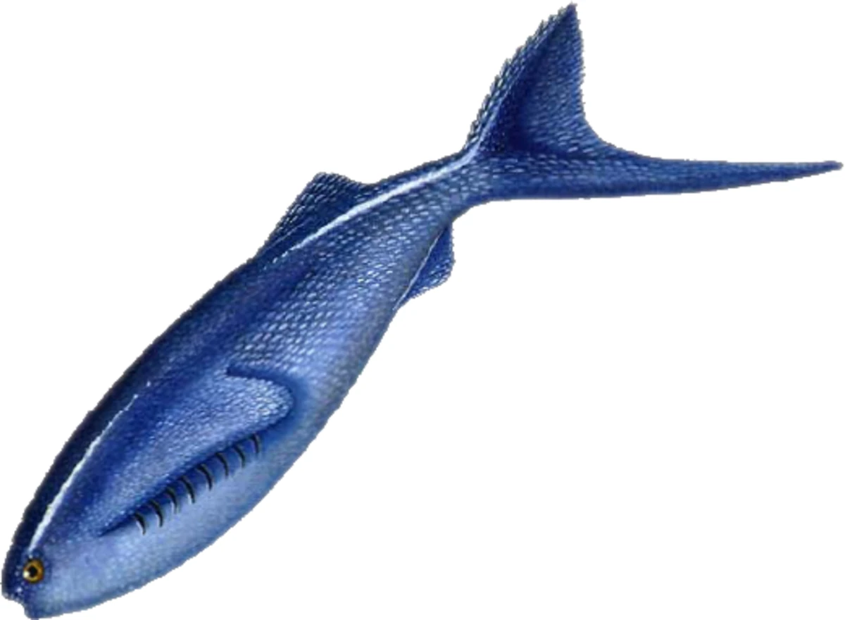 Thelodus | Sauropedia Wiki | Fandom