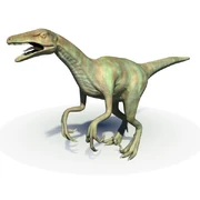 Adasaurus | Sauropedia Wiki | Fandom