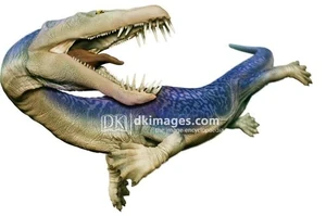 Nothosaurus | Sauropedia Wiki | Fandom