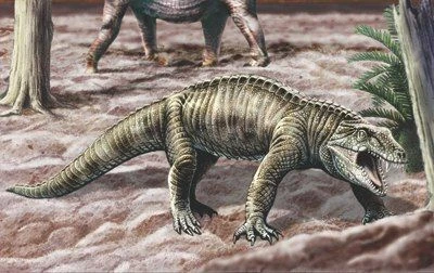 Notosuchus | Sauropedia Wiki | Fandom