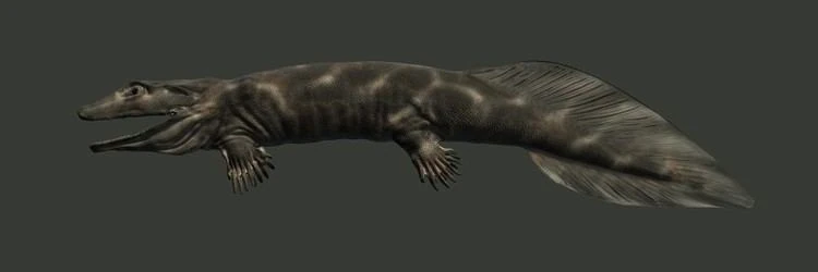 Metaxygnathus | Sauropedia Wiki | Fandom