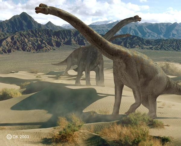 Brachiosaurus | Sauropedia Wiki | Fandom