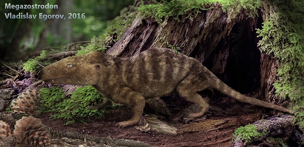 Megazostrodon | Sauropedia Wiki | Fandom