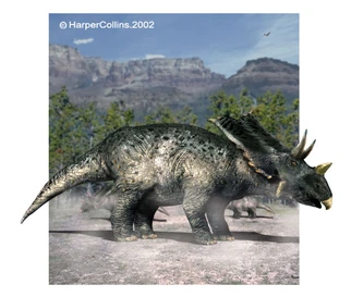 Chasmosaurus | Sauropedia Wiki | Fandom