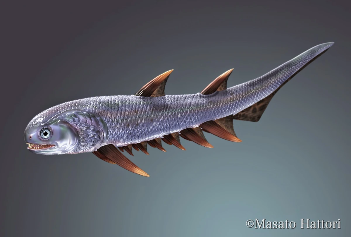 Climatius | Sauropedia Wiki | Fandom