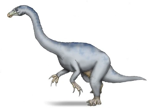 Neimongosaurus | Sauropedia Wiki | Fandom